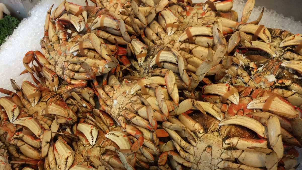 Fresh local Dungeness crabs are back in Bay Area