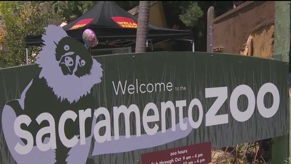 Elk Grove mayor, zoo director share excitement, plans as relocation ...