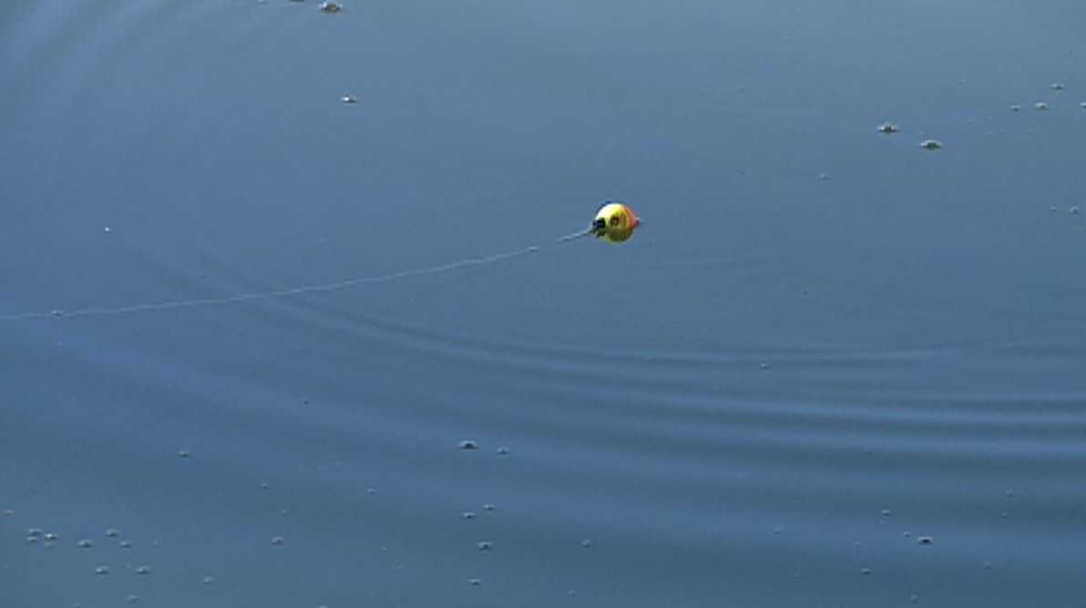 New fishing spot opening in southeast Nebraska