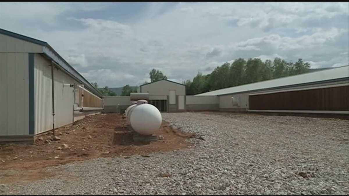 Hog farm near Buffalo River agrees to cease operations