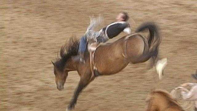 Rodeo of the Ozarks canceled due to COVID-19