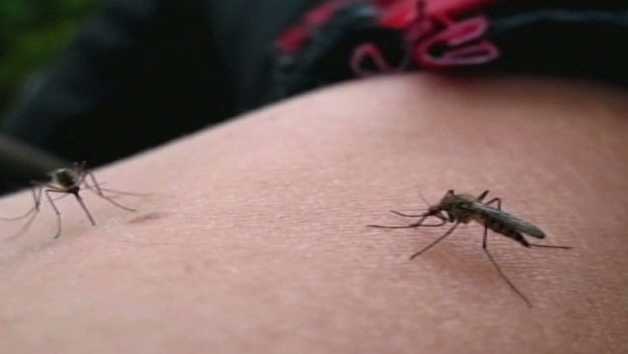 Mosquitoes pester cleanup volunteers after Missouri, Kansas flooding