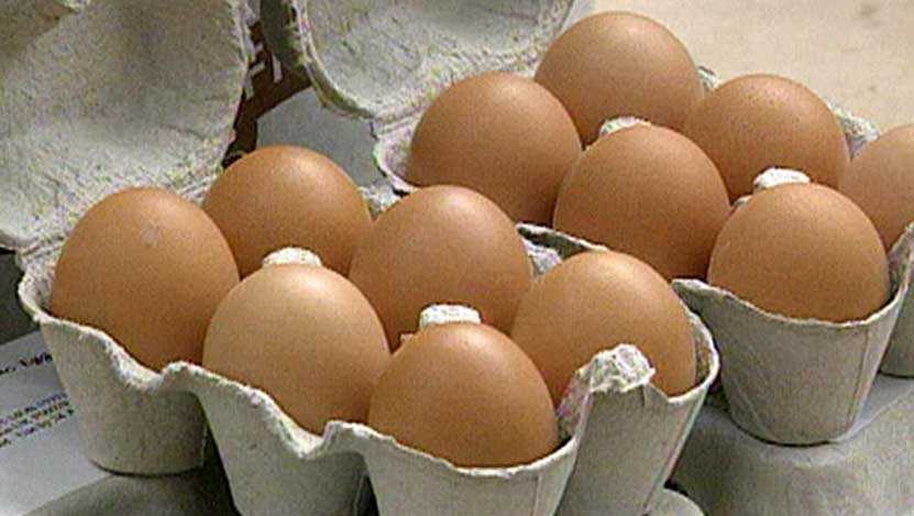 Egg farmers find new markets during COVID-19 outbreak