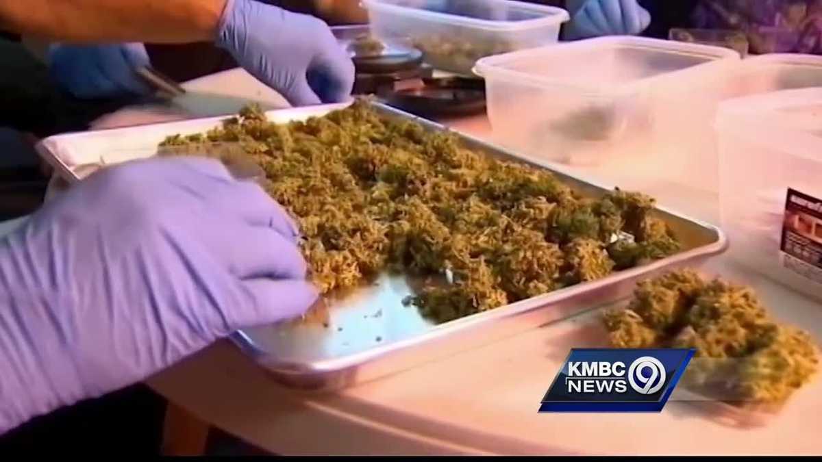 Kansas Senate panel OKs medical cannabis bill Kansas Senate panel OKs medical cannabis bill