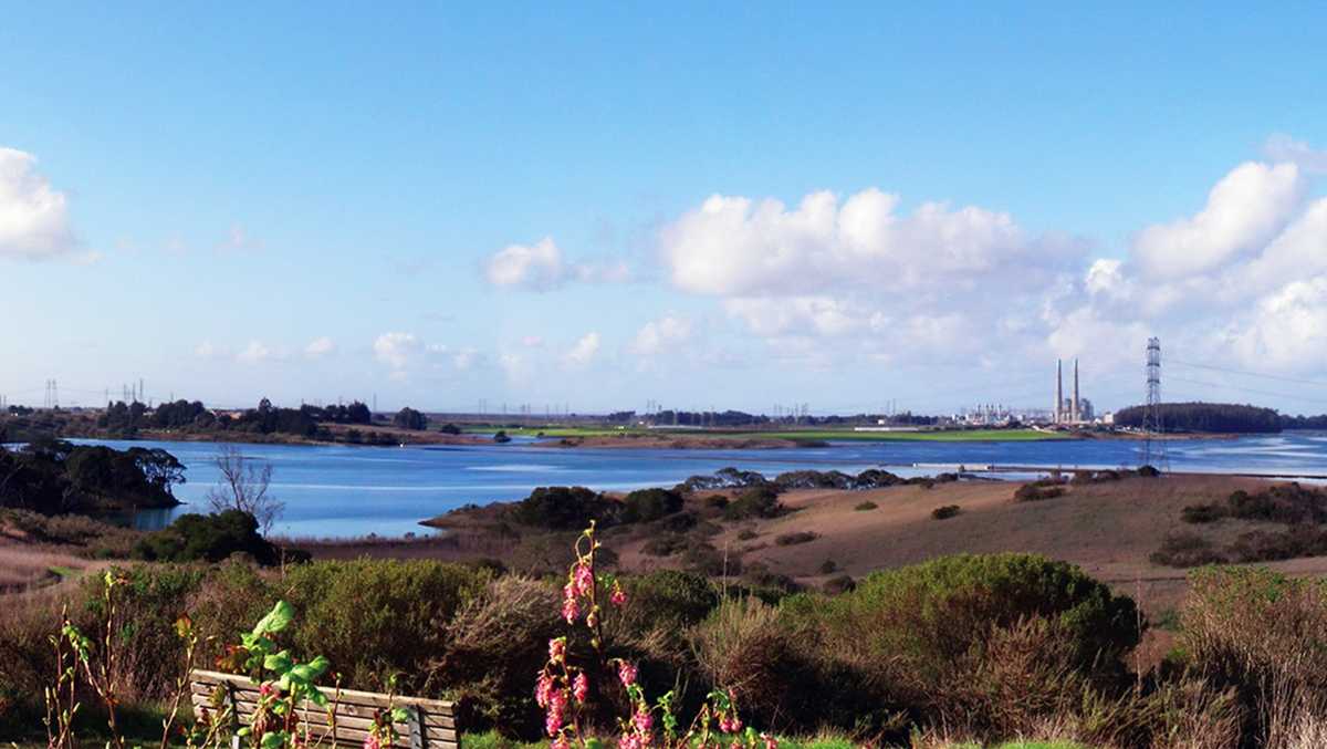 Rare Wildlands Protected in Elkhorn Slough