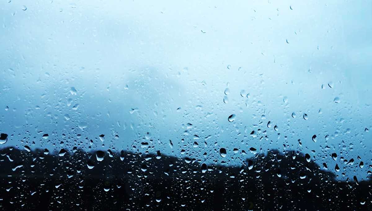 Rain in the forecast: When you can expect rain and how much of it