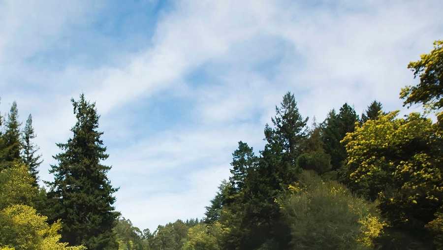 Highway 17 lane closure to impact traffic on Friday