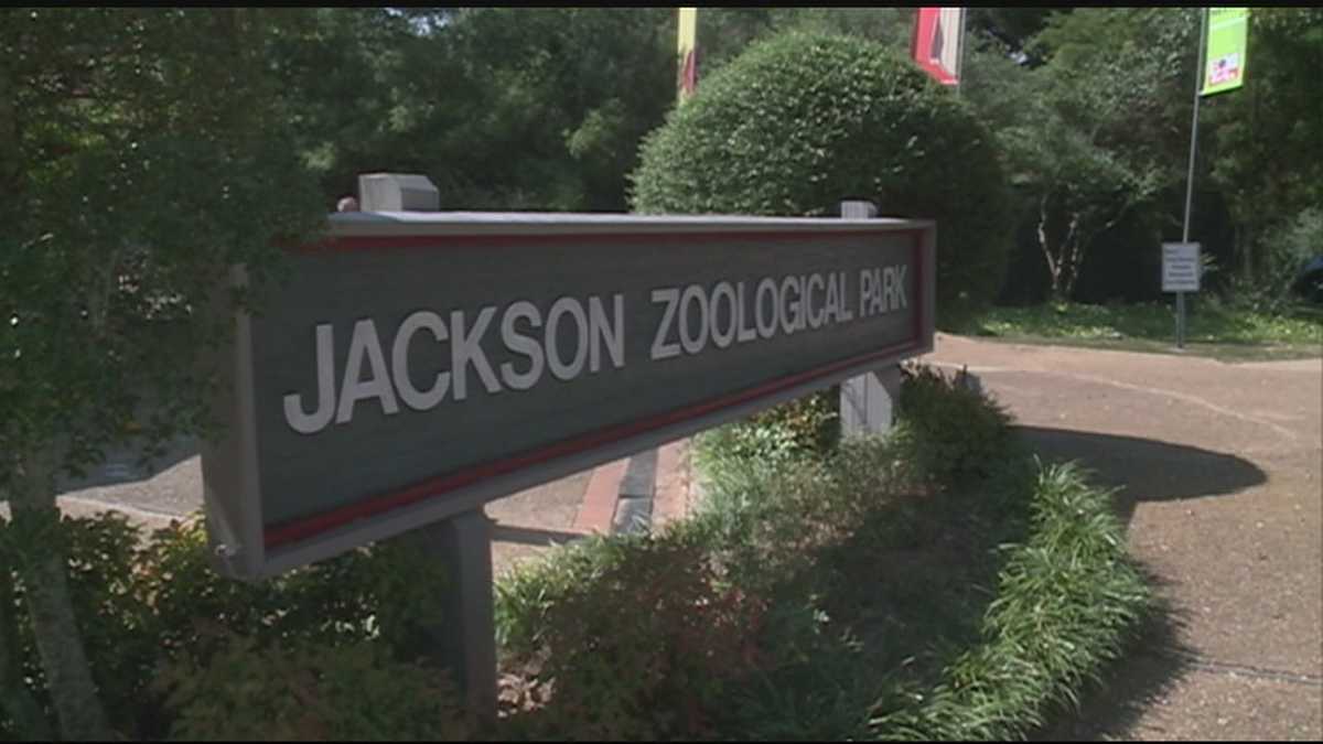Jackson Zoo wins accreditation for another 5 years