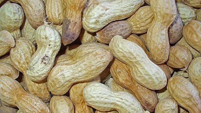 Giving peanut-based foods to babies early prevents allergies