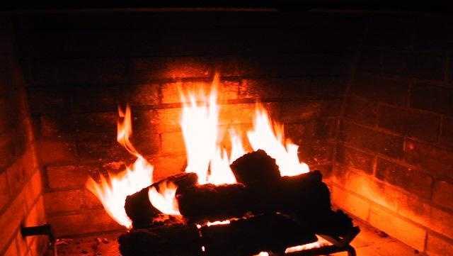 5 fun things to do in Massachusetts weekend of Jan. 23 to 25