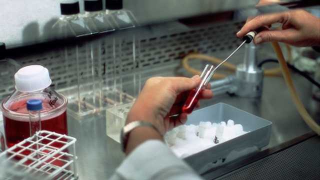 Boston doctors lead teams in $16.6M ‘Cancer Interception’ project