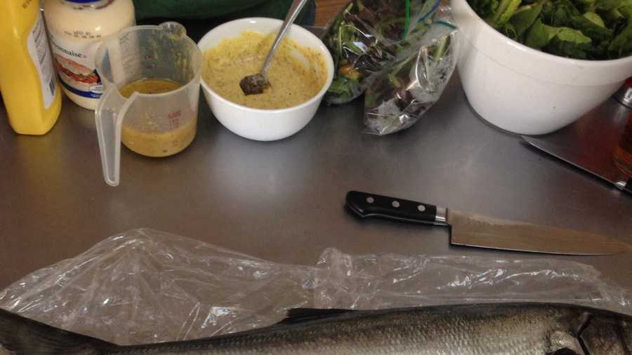 Feds might reduce US catch of bluefish to avoid overfishing