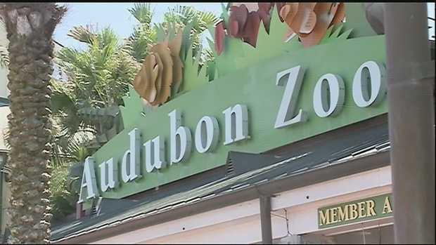 Audubon Nature Institute pleading with Congress for help