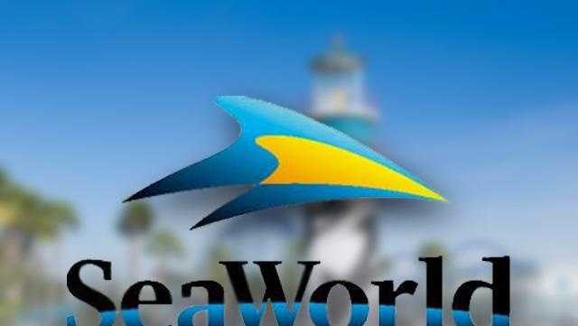SeaWorld Orlando reveals concert lineup for Seven Seas Food Festival