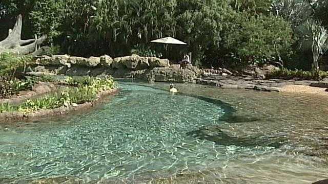 Man found ﻿unresponsive in ﻿Discovery Cove pool