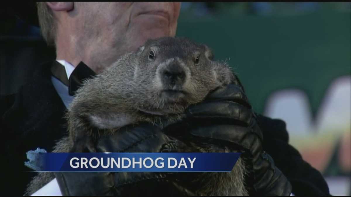 Visit local groundhogs during Groundhog Day