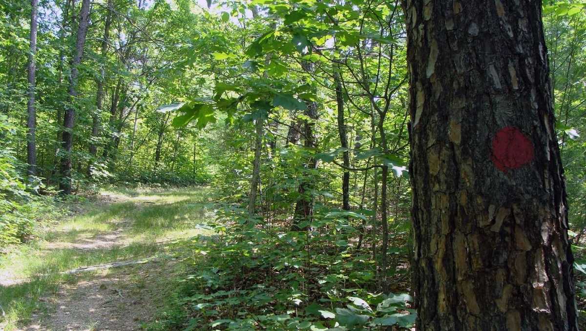 DCNR urges caution to prevent wildfires