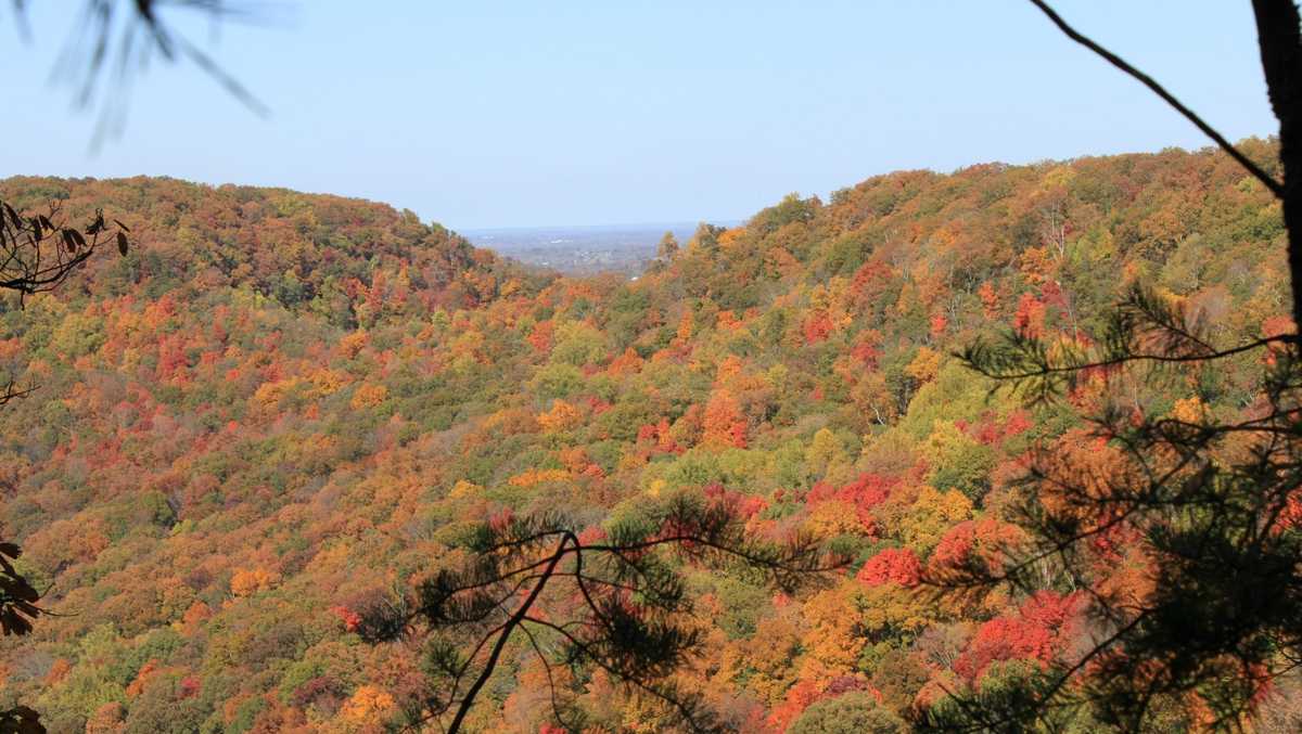 When will fall colors peak around Louisville in 2023?