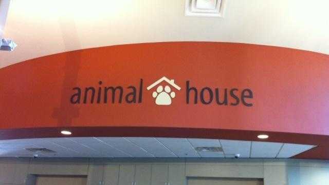 LMAS to resume taking in dogs, adoptions on Friday after negative virus ...