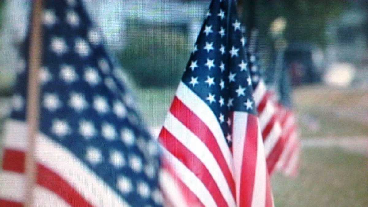 DAV to plant Field of Flags to honor service members