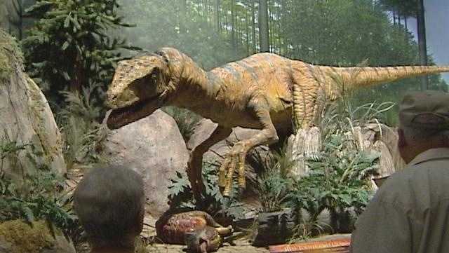 Northern Kentucky's Creation Museum celebrates 15th anniversary