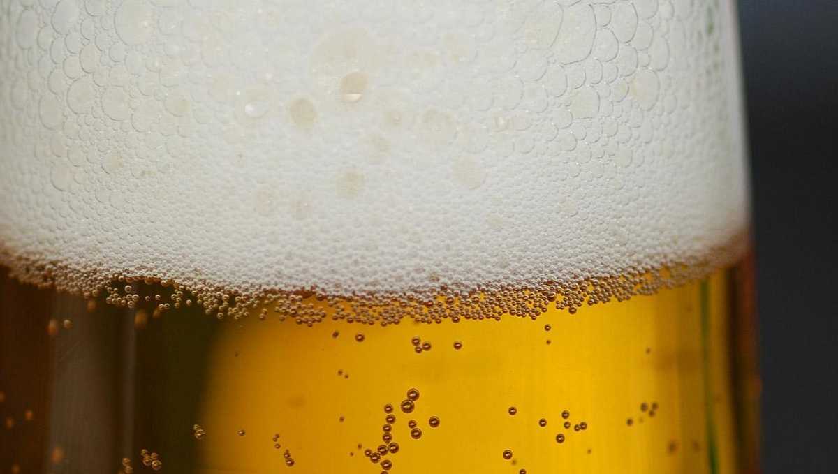 2nd Annual Brew Ash beer and music festival in Summit Park takes place ...