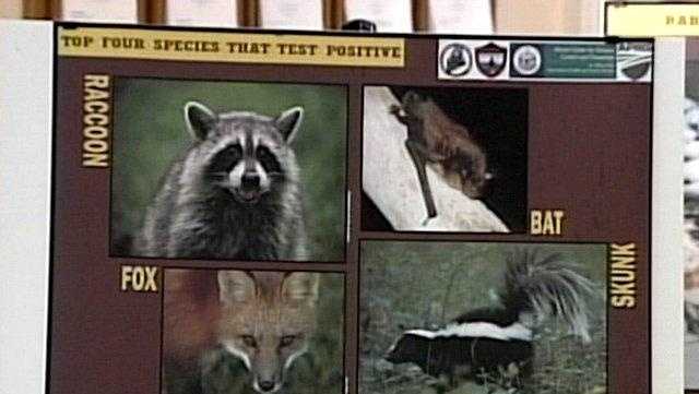 Rabies discovered in South Berwick for first time in years