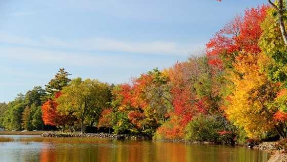 Fall colors are at their peak in western, northern Maine