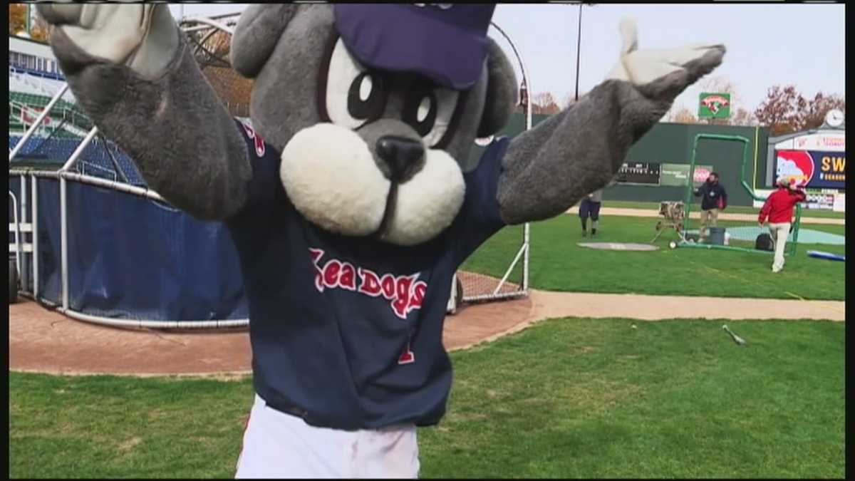 Portland Sea Dogs tickets $4.20 all Friday long