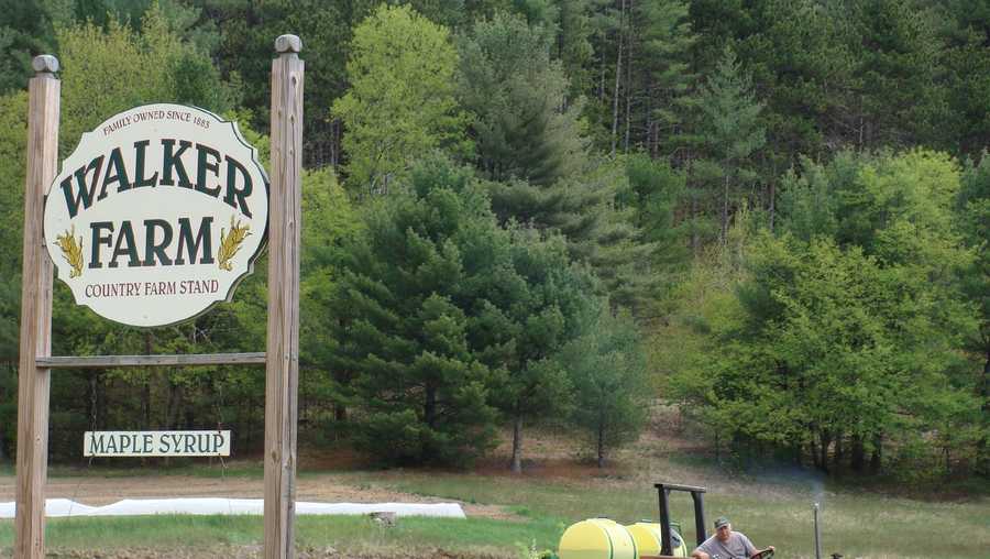 Viewers' Choice 2017: Best corn on the cob