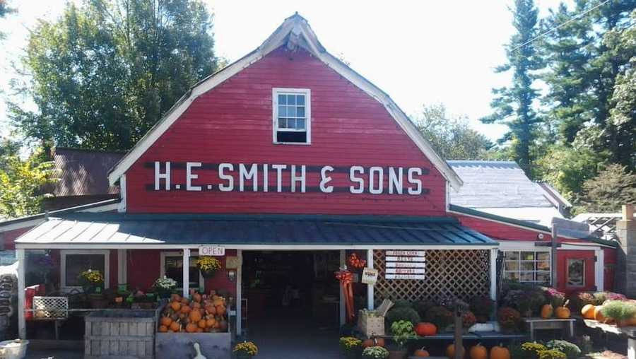 Viewers' Choice 2017: Best corn on the cob