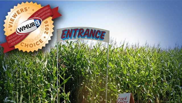 Viewers' Choice 2016: Best corn maze in New Hampshire