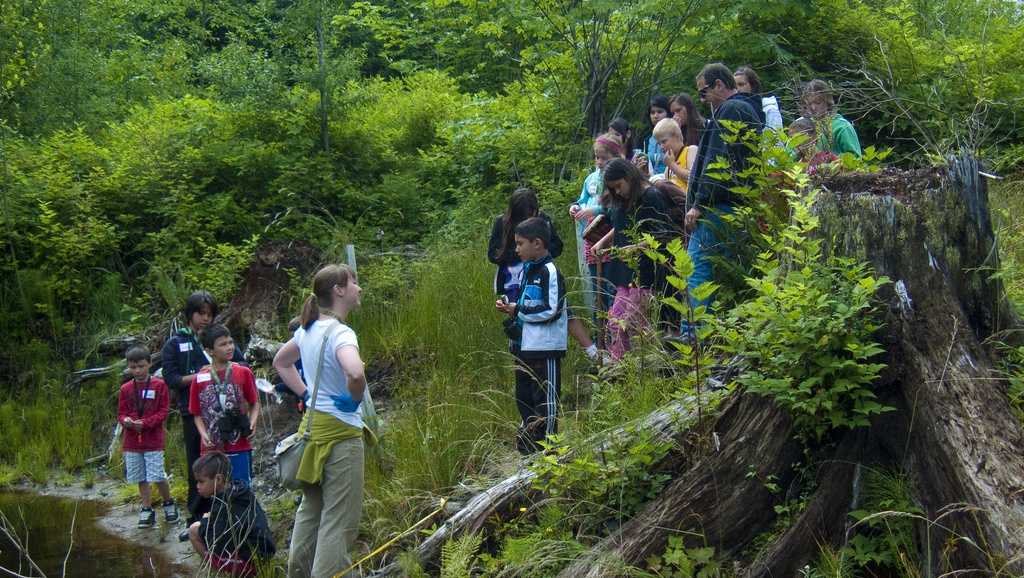 Camp Safety: How parents can talk to their kids about abuse