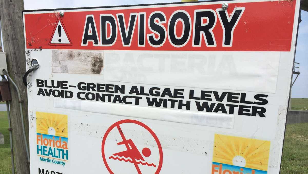Blue-green algae health alert issued for Lake Okeechobee in Florida