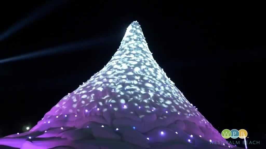 'Sandi' tree gaining national attention