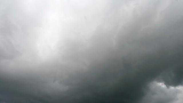 South Carolina: Weather Nov. 26