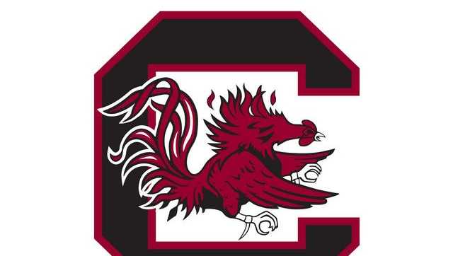 South Carolina Softball Player Donnie Gobourne Throws No Hitter