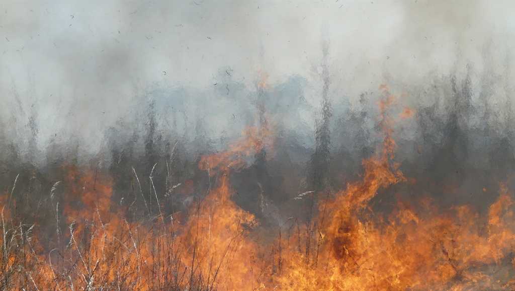 Statewide Red Flag Fire Alert issued