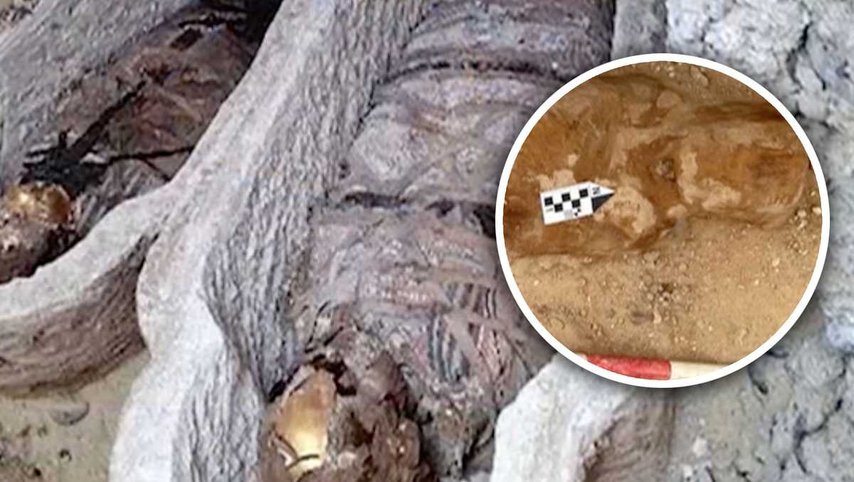 1,600-year-old Egyptian mummy stuns archaeologists in first-of-its-kind ...