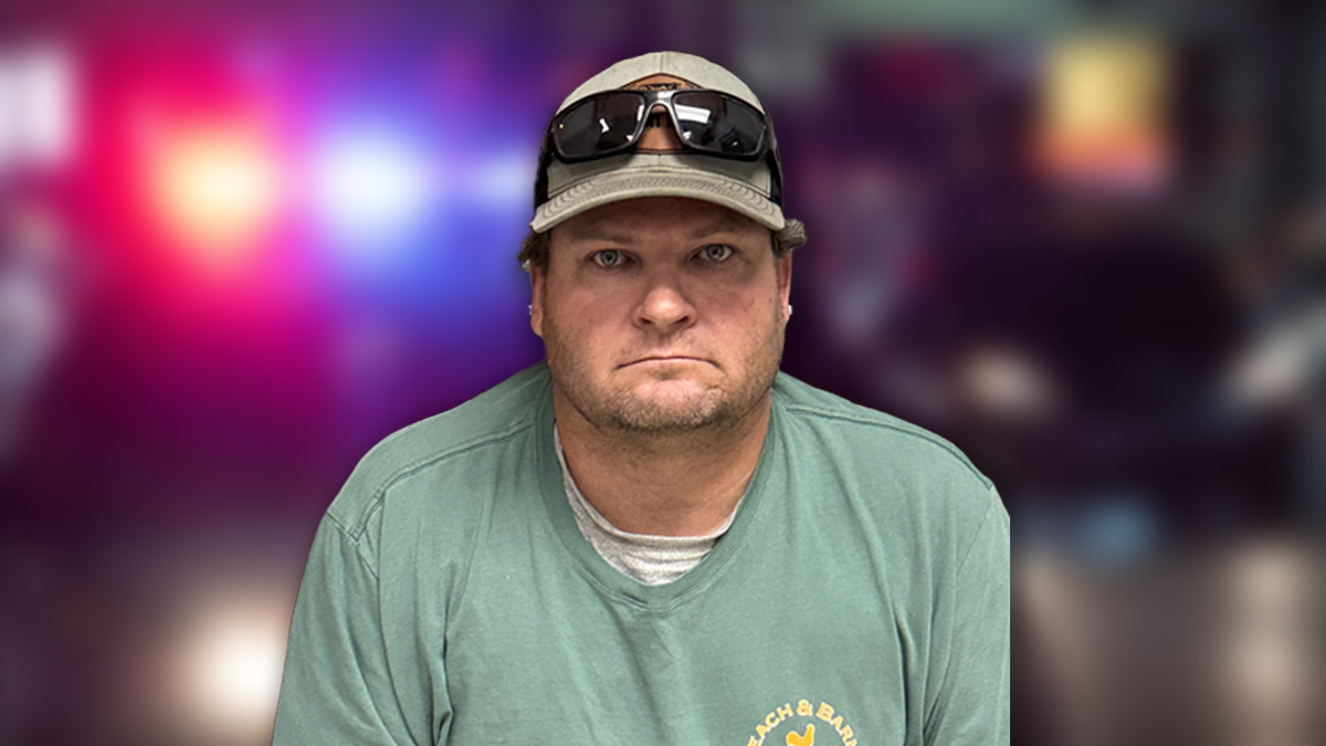 Logging company owner accused of timber theft