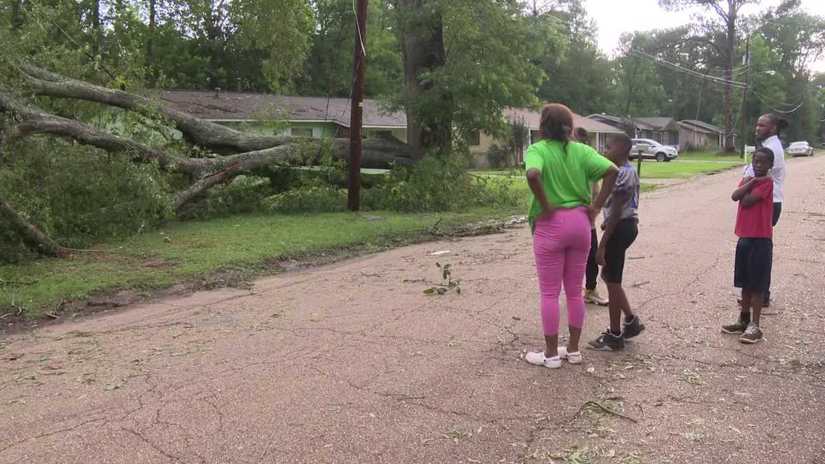 Tree falls on house, leaving family without a place to stay