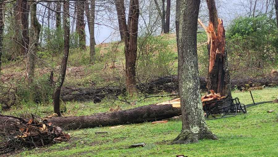 Lightning strike fire to downed trees: Tuesday storms cause damage in ...