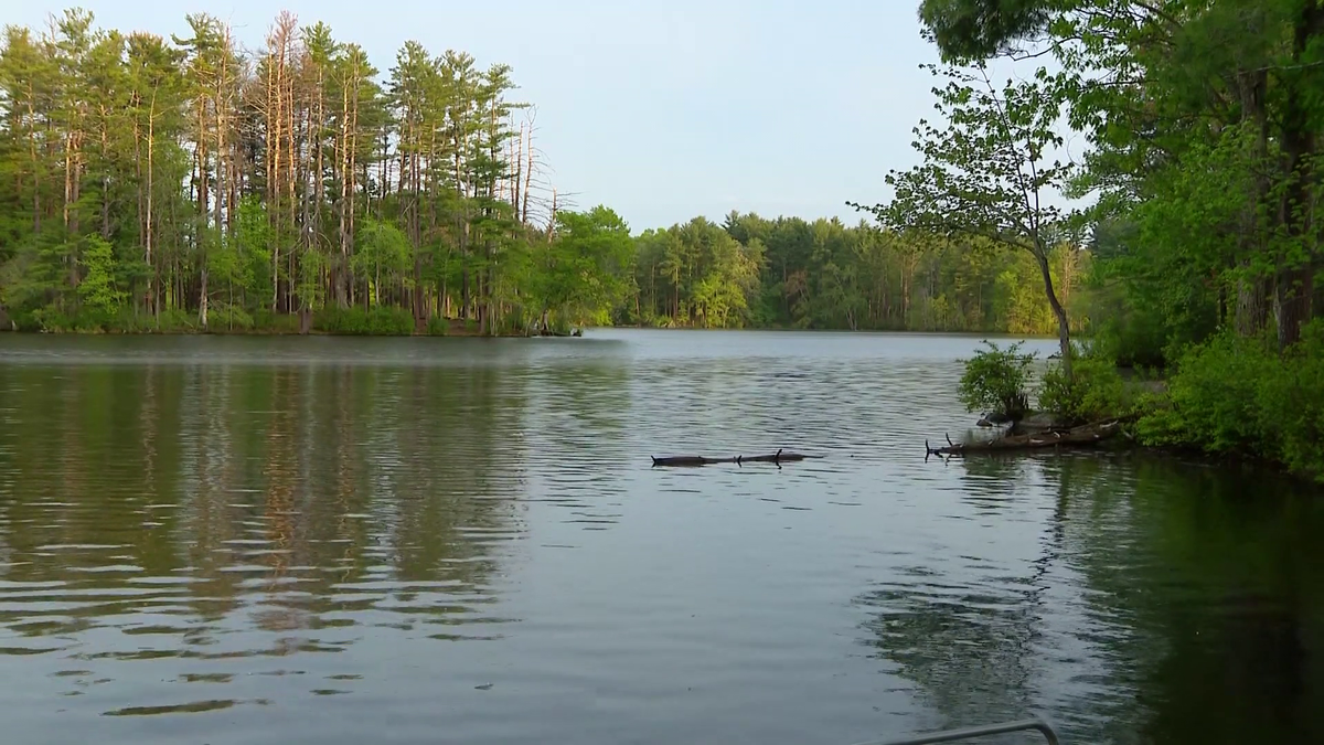 Middle school student pulled from Andover pond, transported to Boston ...