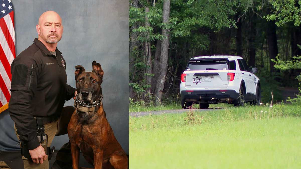 Rankin County K-9 suffers medical emergency