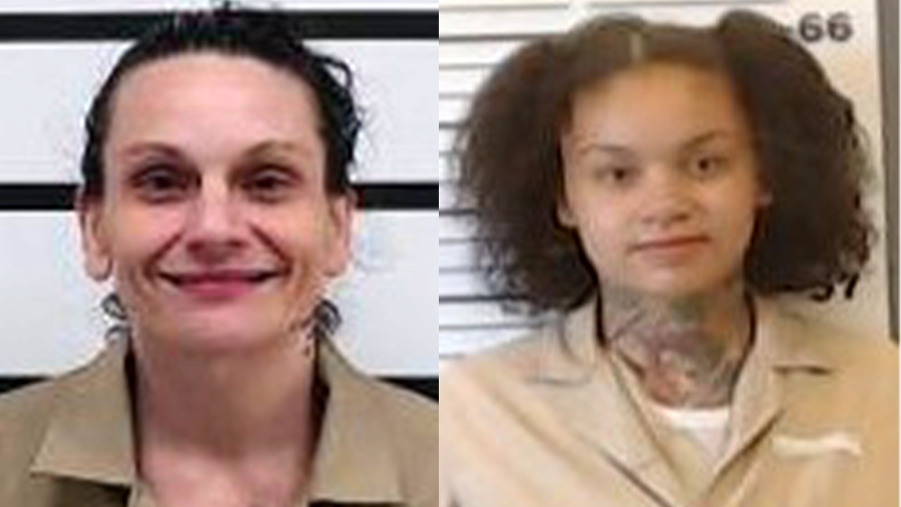 2 inmates die within days at Georgia women's prison - WJCL
