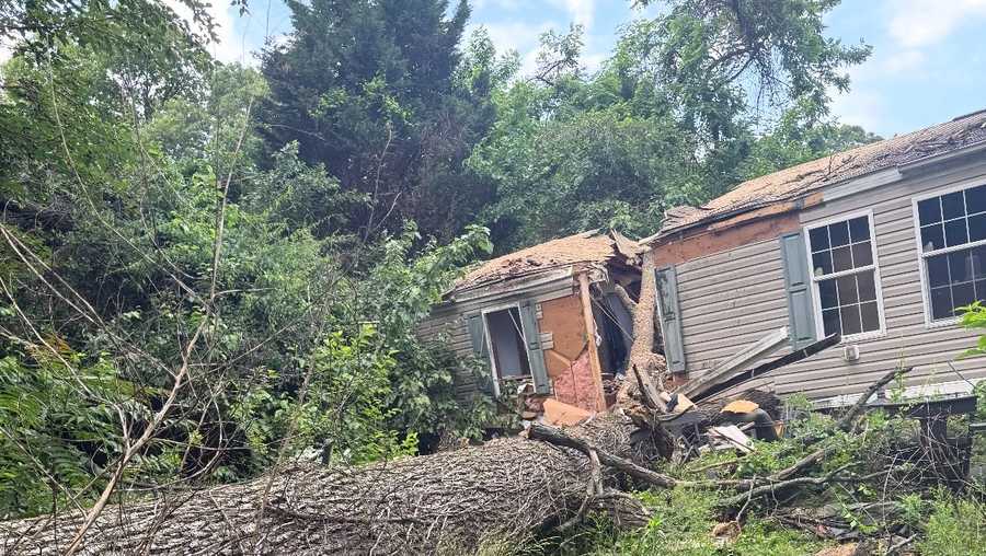 Tree slices through mobile home in Pasadena