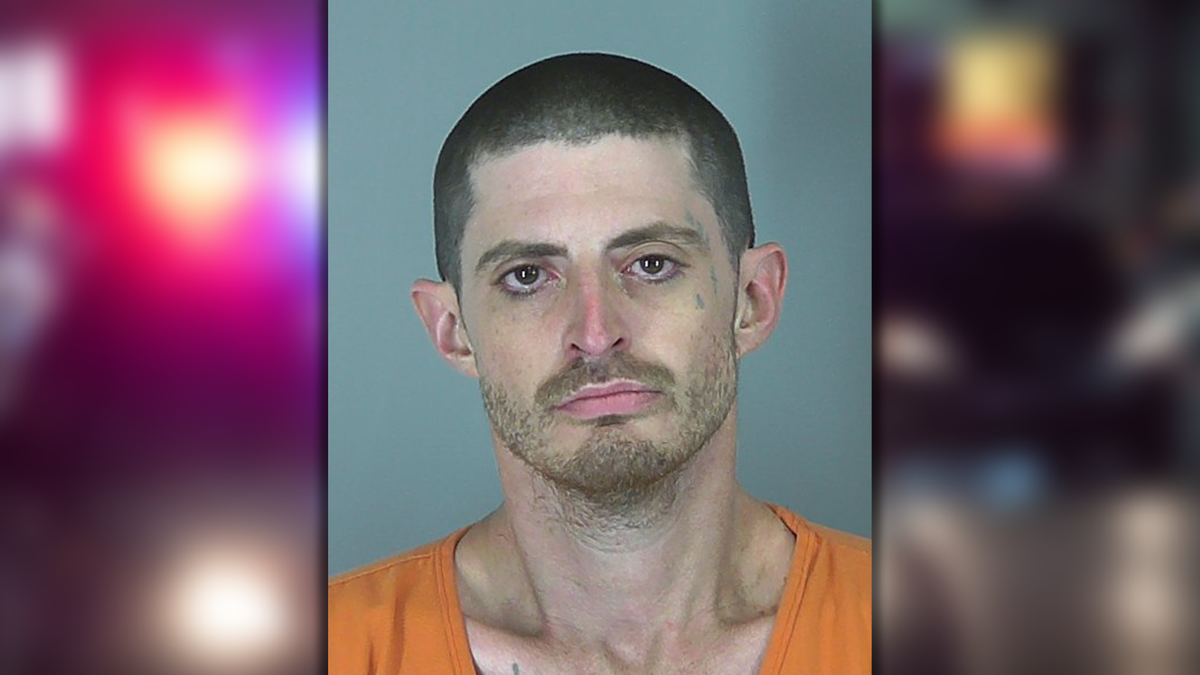 SC: Deputies arrest armed and dangerous man after shooting