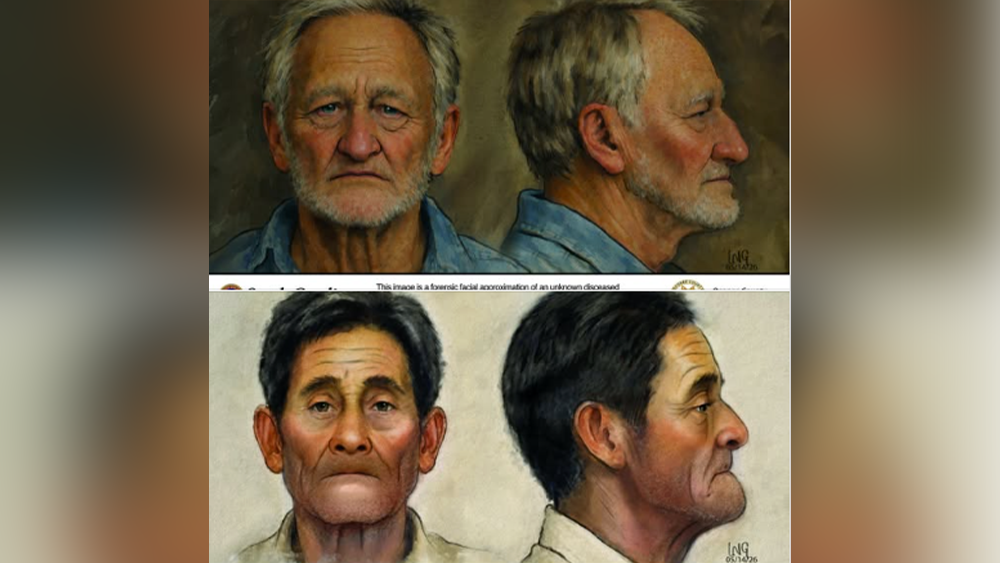 South Carolina investigators seek help identifying human remains - WJCL