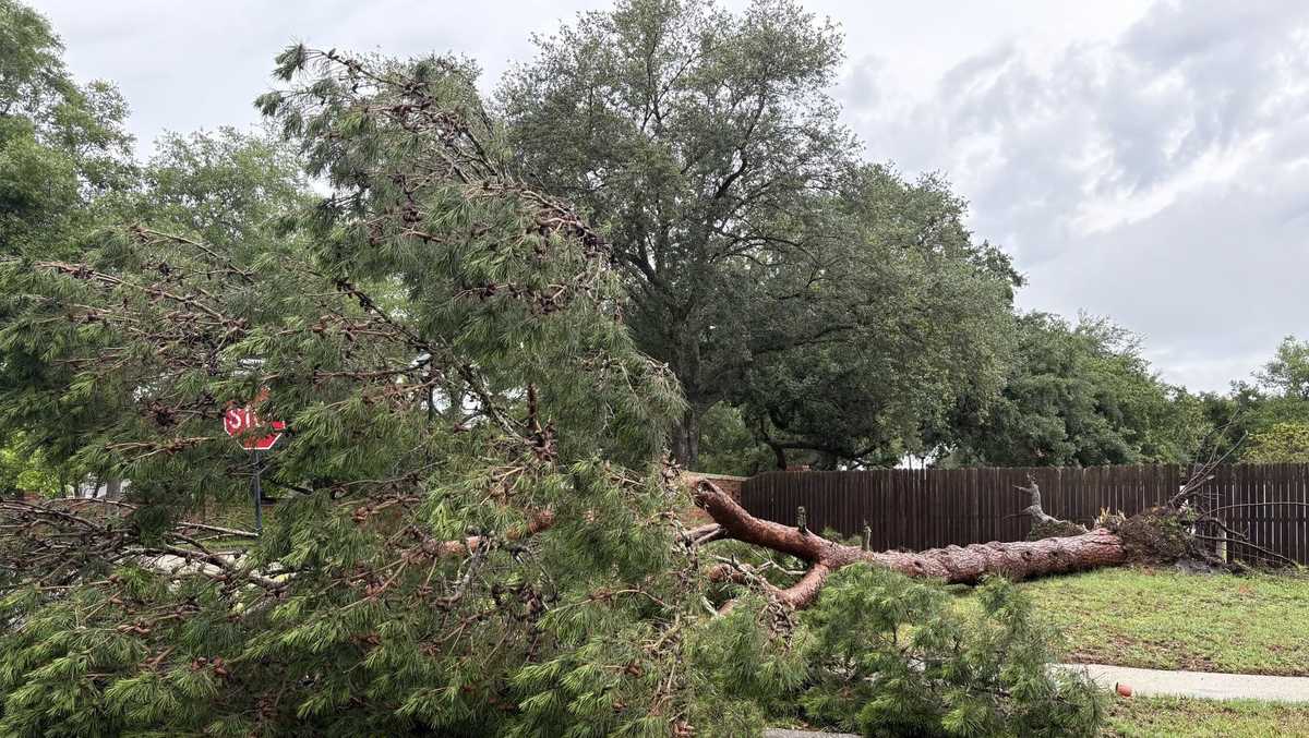 Severe storms knock down trees, bring hail to Seminole County