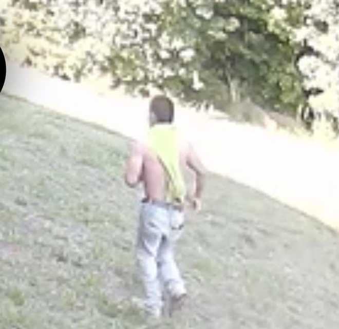 Video shows 2 men jump from van, run after child was hit